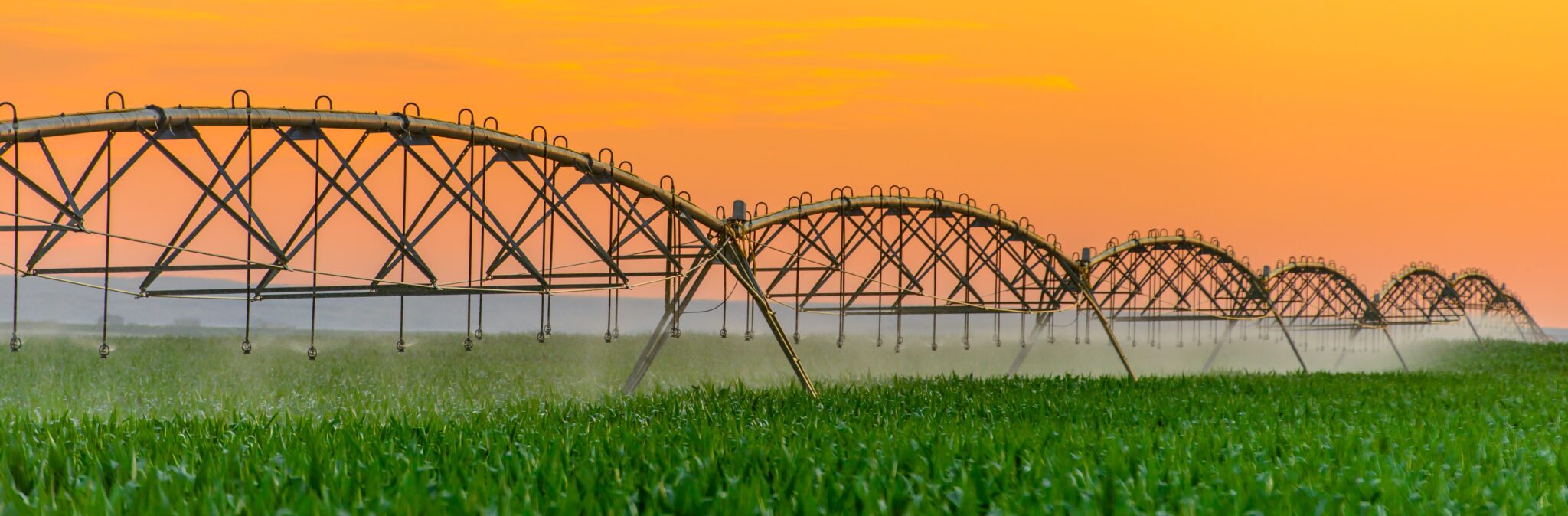 CPFC Region - Canadian Premier Food Corridor